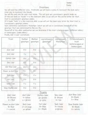 St. Patrick's Day Genetic Activities | Made By Teachers