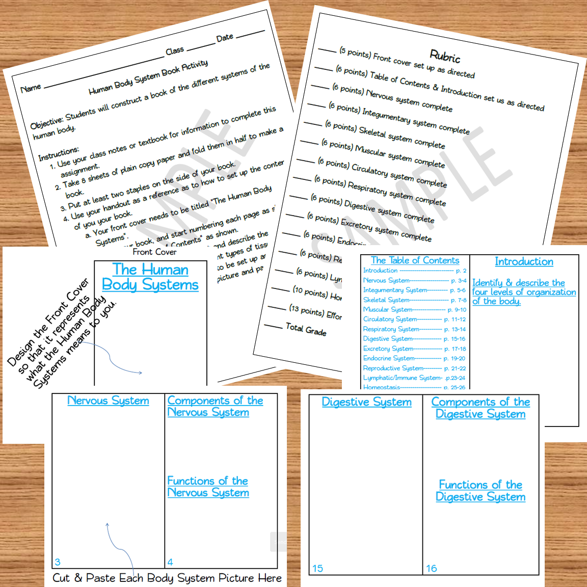 Human Body Systems Book Activity | Made By Teachers