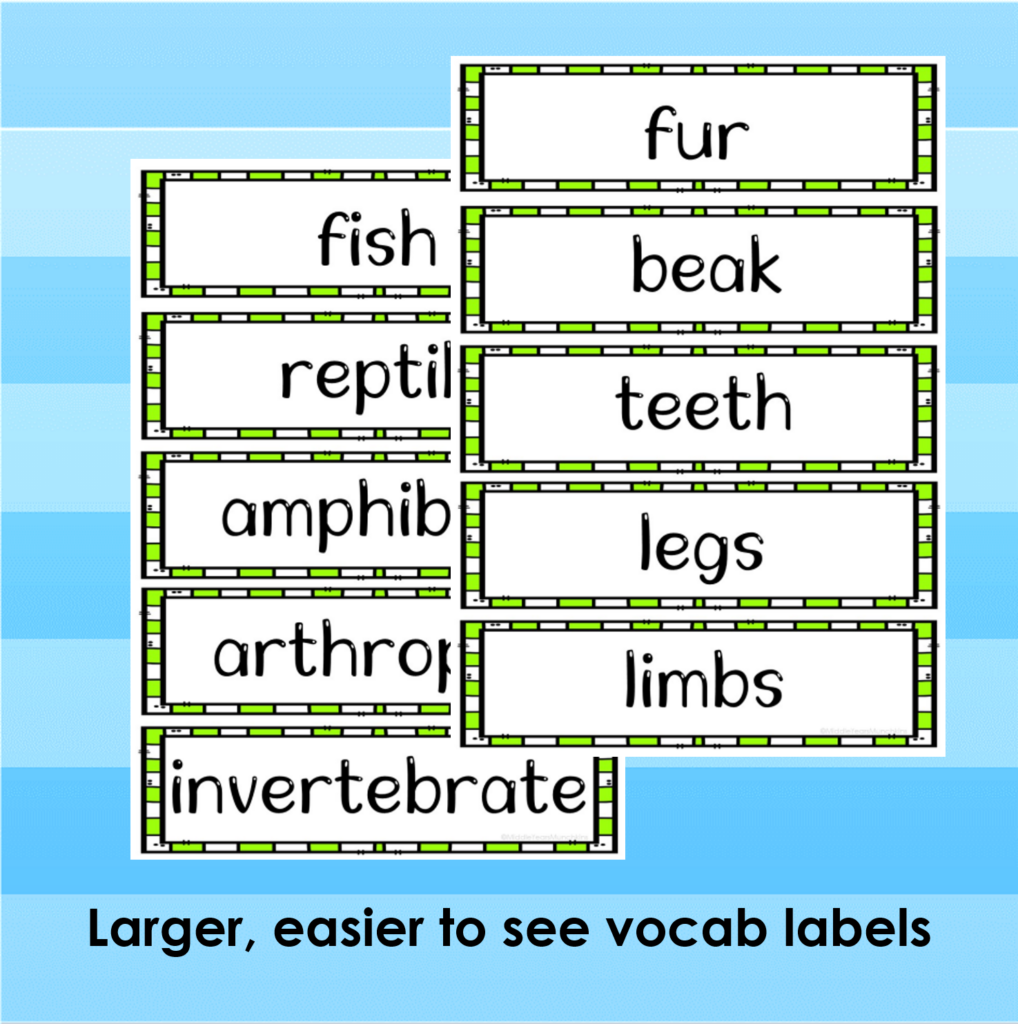 Living and Non-Living Vocabulary Word Wall | Made By Teachers