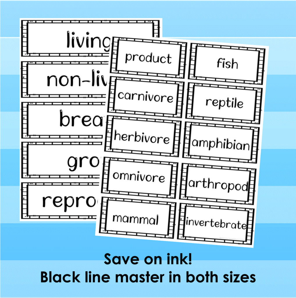 Living and Non-Living Vocabulary Word Wall | Made By Teachers