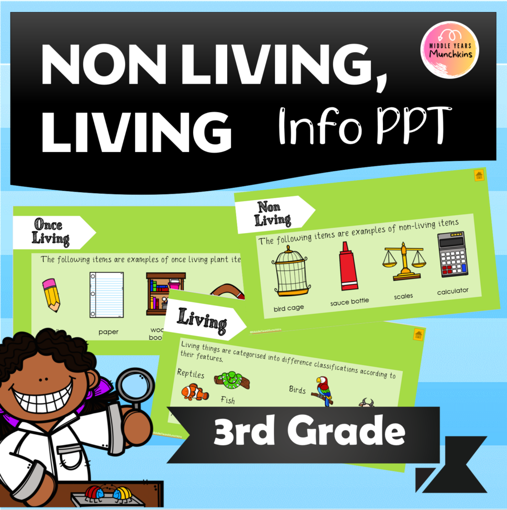 Living, Non-Living and Life Cycle Resource Bundle | Made By Teachers