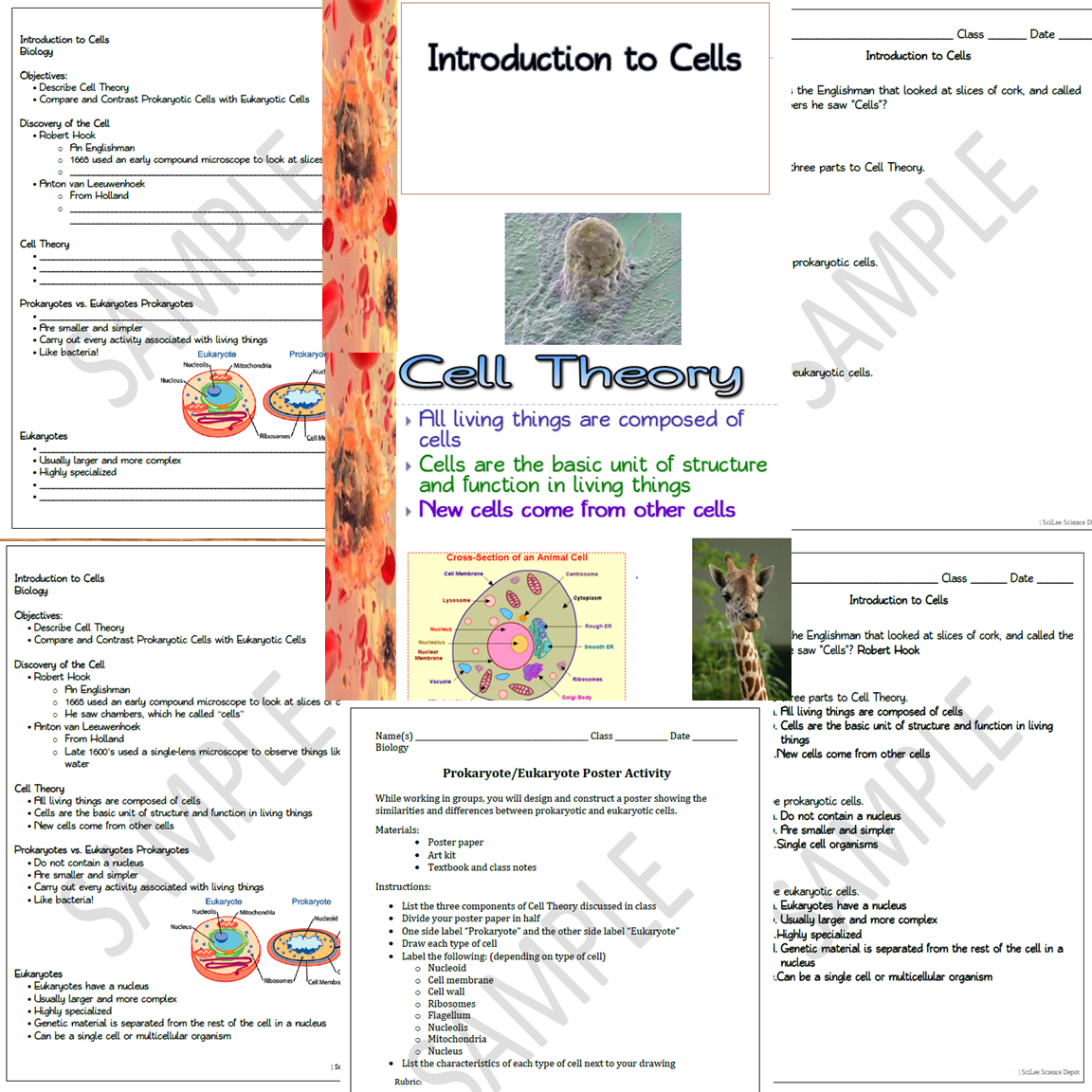 Introduction to Cells PowerPoint, Worksheet, and Activities | Made By ...