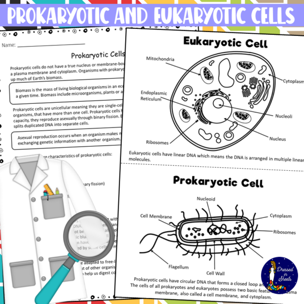 Prokaryotic and Eukaryotic Cells Worksheets | Made By Teachers