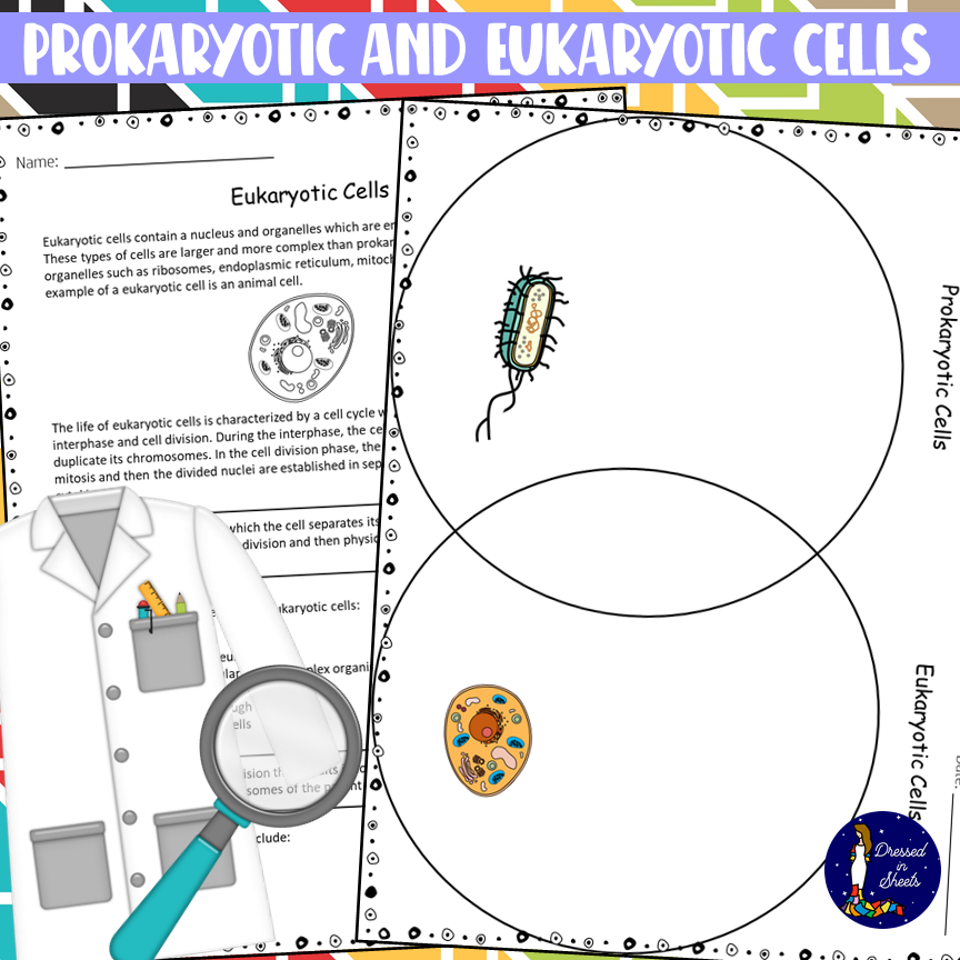 Prokaryotic and Eukaryotic Cells Worksheets | Made By Teachers