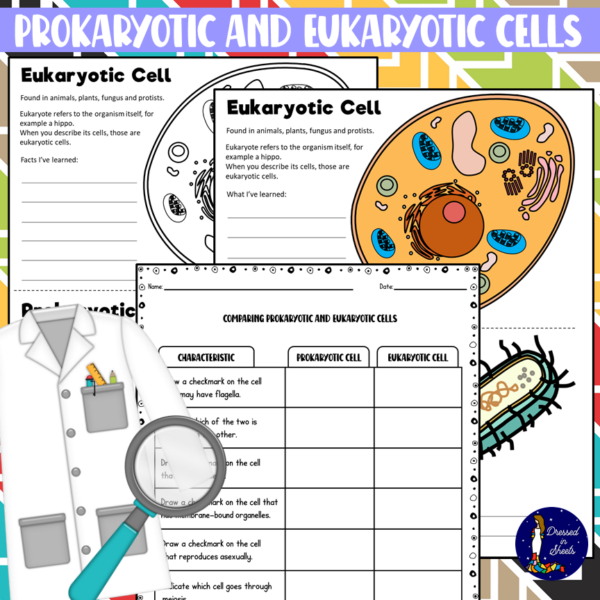Prokaryotic and Eukaryotic Cells Worksheets | Made By Teachers