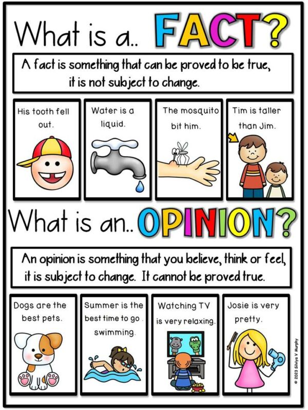 fact or opinion posters | Made By Teachers