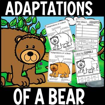 adaptations of a bear | Made By Teachers