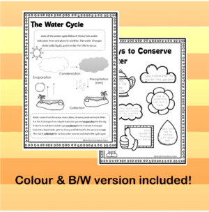 Water Worksheets | Made By Teachers