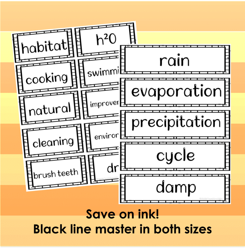 Water Vocabulary Word Wall | Made By Teachers