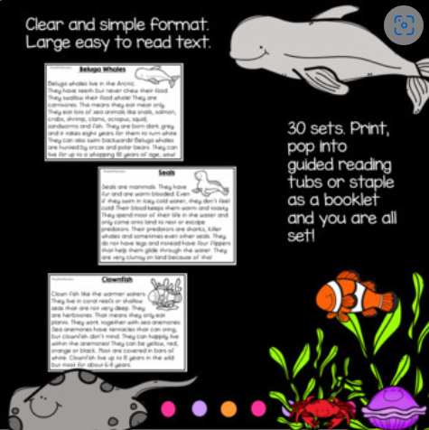 First Grade Reading Fluency Passages | Made By Teachers