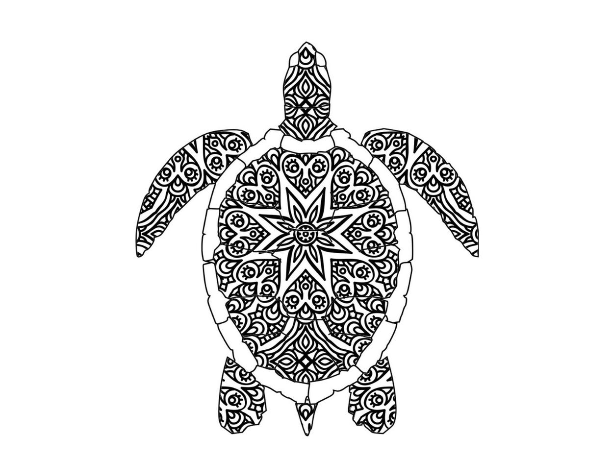 Turtle Coloring Book for Kids:A Fun Collection of Simple Abstract ...