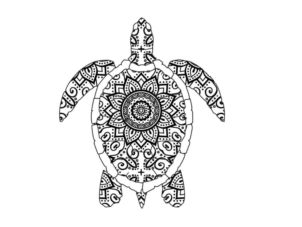 Turtle Coloring Book for Kids:A Fun Collection of Simple Abstract ...