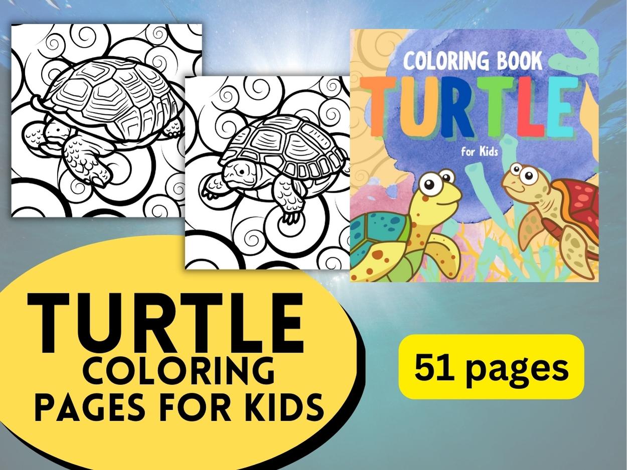 Turtle Coloring Book for Kids:A Fun Collection of Simple Abstract ...