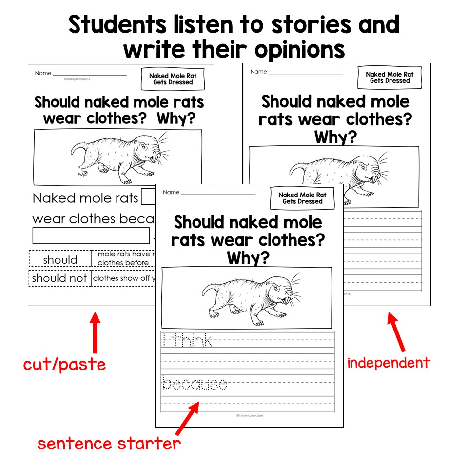 Opinion Writing | Special Education | fact vs opinion | Made By Teachers