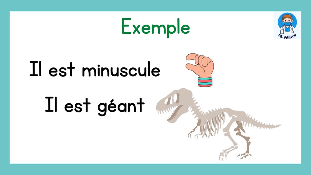 Un Mystère - French Mystery Object Description Game and Speaking ...