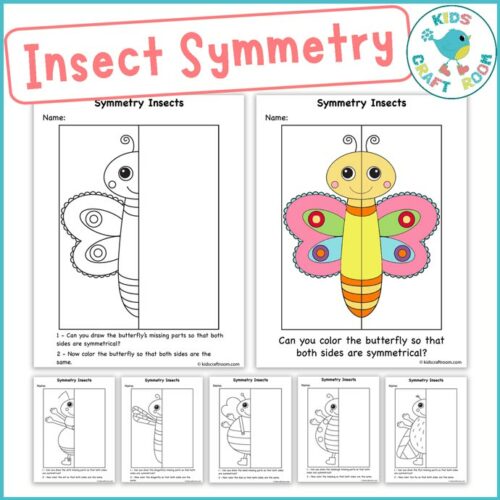 Insect Symmetry | Made By Teachers