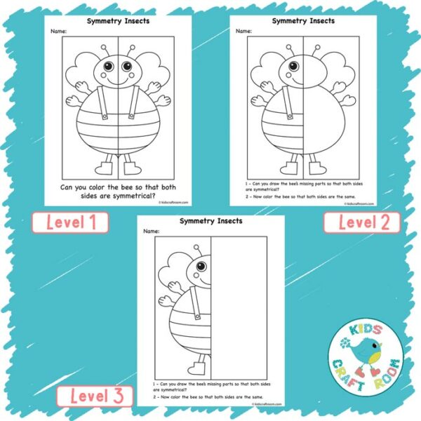 Insect Symmetry | Made By Teachers