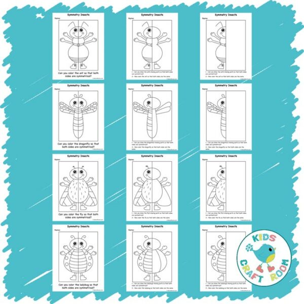 Insect Symmetry | Made By Teachers