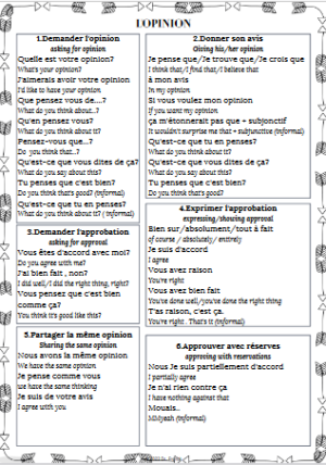 French Opinions- Expressing and Asking for opinions Lesson & Speaking ...