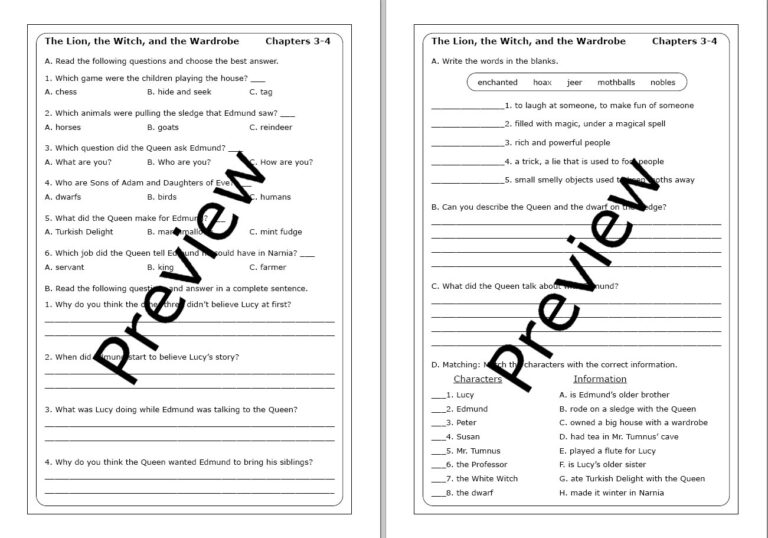 C. S. Lewis "The Lion, the Witch, and the Wardrobe" worksheets | Made ...