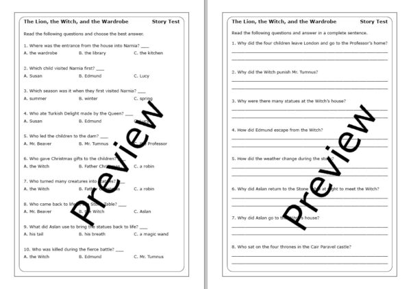 C. S. Lewis "The Lion, the Witch, and the Wardrobe" worksheets | Made ...