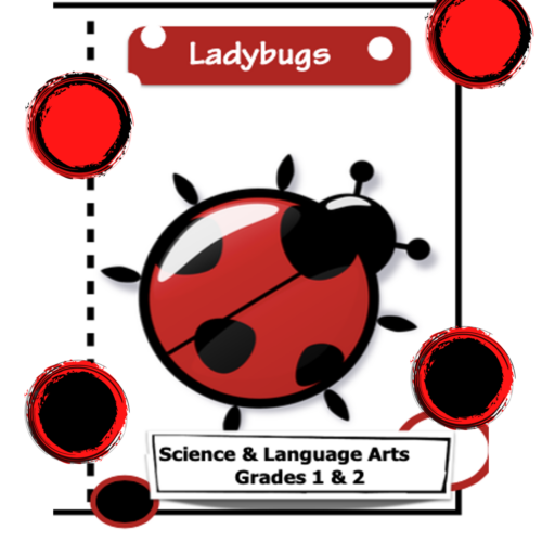 Insect Life Cycle 1st Grade NGSS Lesson | Made By Teachers