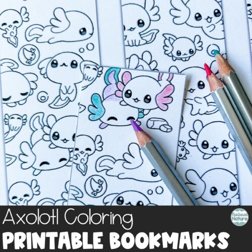 Editable Axolotl Coloring Bookmarks for Valentine’s Day | Made By Teachers
