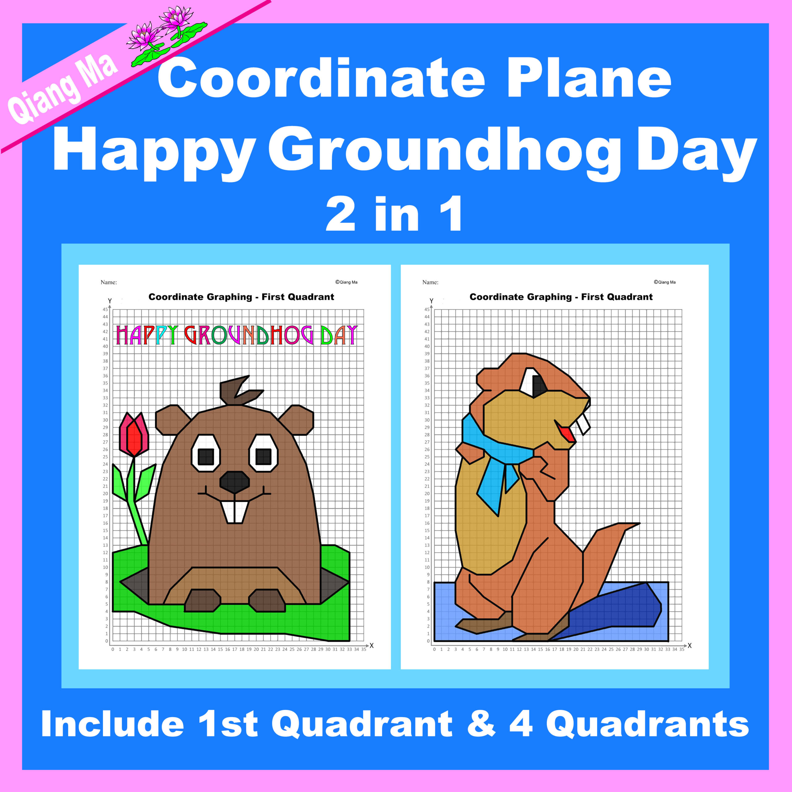 Groundhog Day Coordinate Plane Graphing Picture: Happy Groundhog Day 2 ...