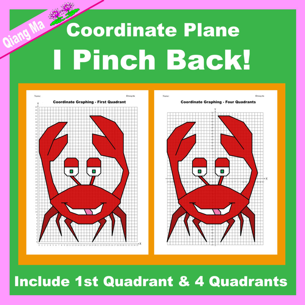 St. Patrick's Day Coordinate Plane Graphing Picture: I Pinch Back ...