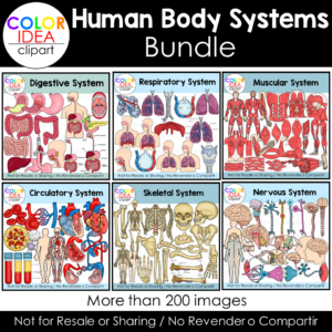Human Body System Bundle | Made By Teachers