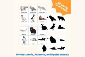 sabrina | Made By Teachers