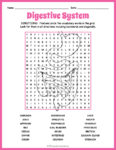 THE DIGESTIVE SYSTEM Word Search Activity Worksheet | Made By Teachers