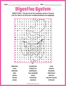 THE DIGESTIVE SYSTEM Word Search Activity Worksheet | Made By Teachers