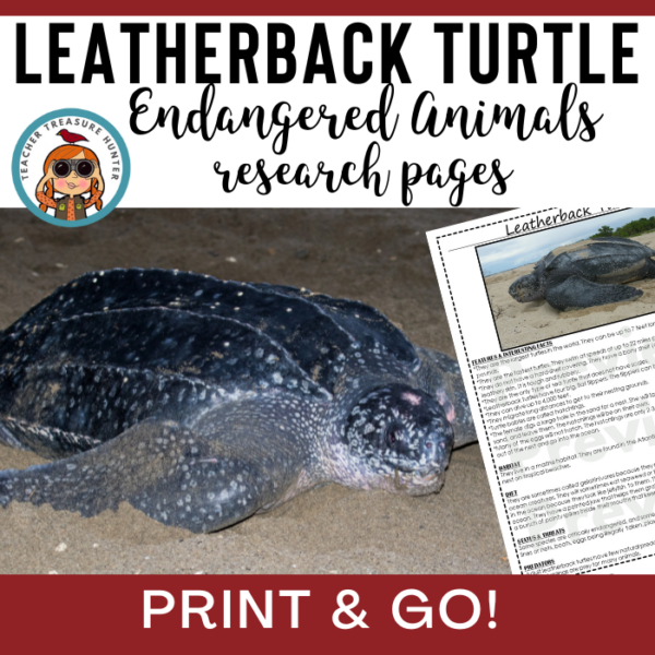 Leatherback turtle information research page for endangered animal ...