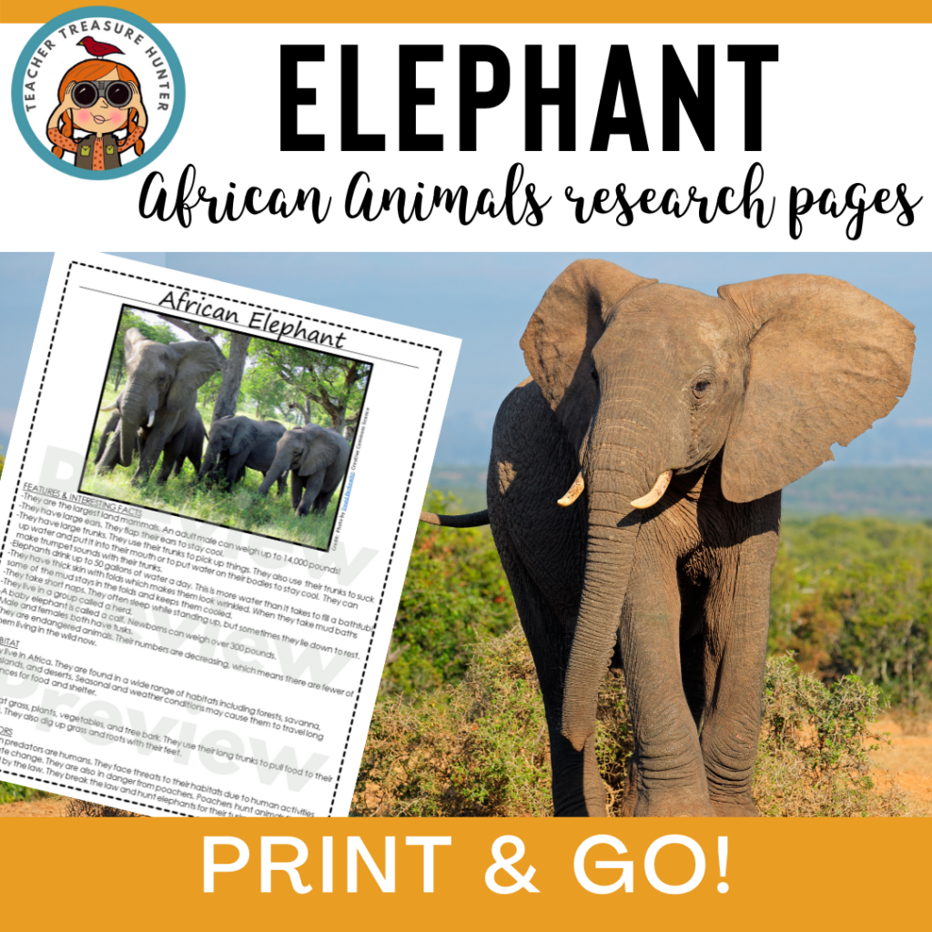 African elephant Animal Research Pages for animal research paper | Made ...