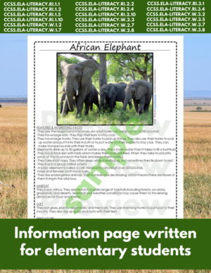 African elephant Animal Research Pages for animal research paper | Made ...