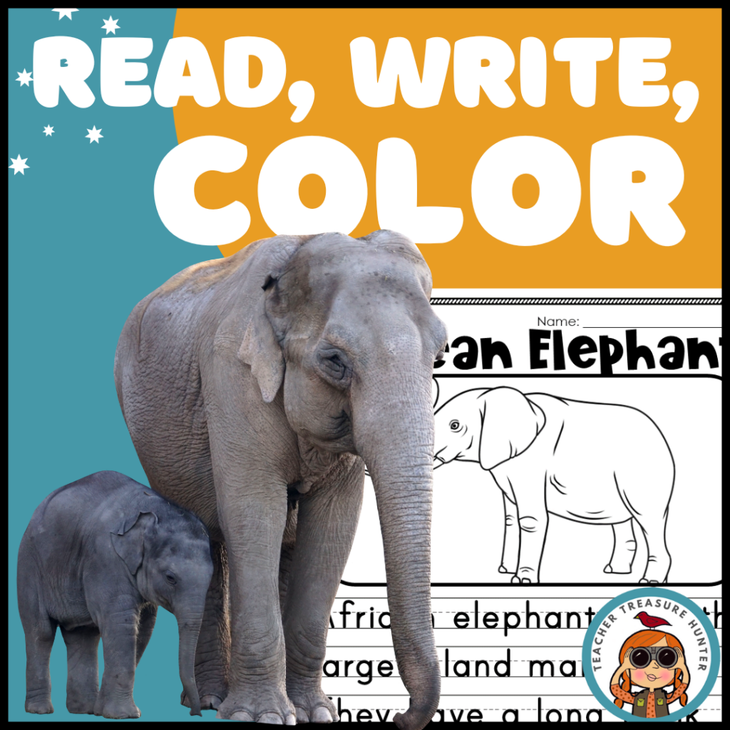 African Elephant Read Write Color activity for K, 1st, 2nd grade | Made ...