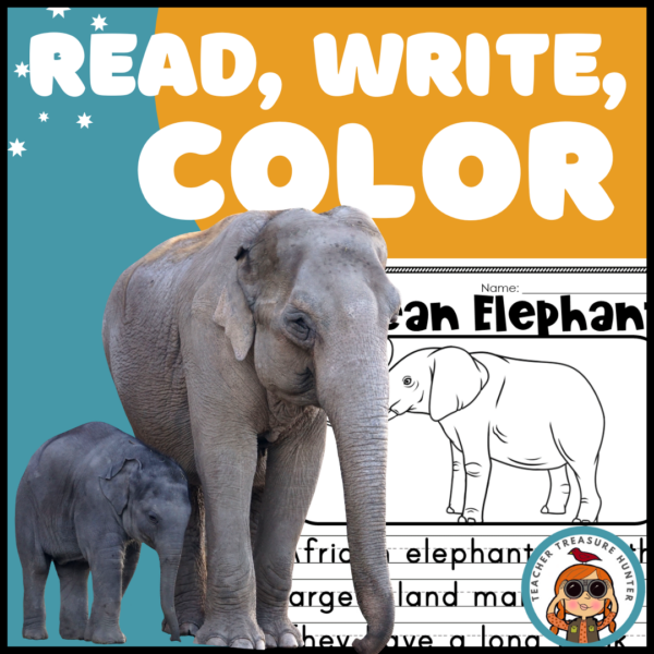 African Elephant Read Write Color activity for K, 1st, 2nd grade | Made ...