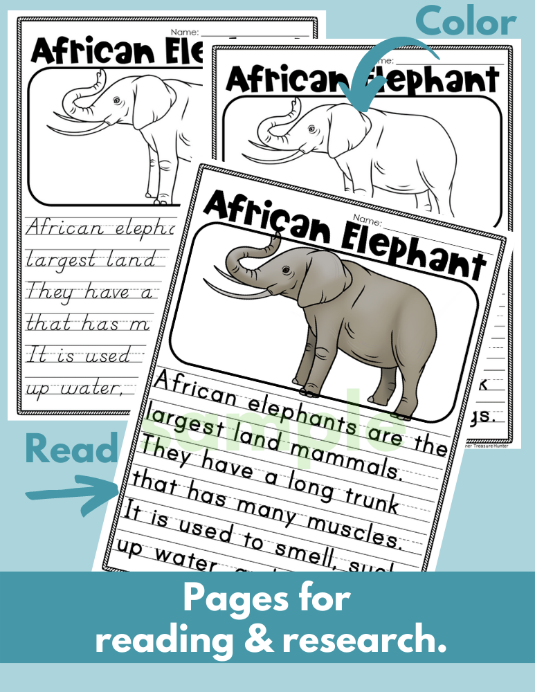 African Elephant Read Write Color activity for K, 1st, 2nd grade | Made ...