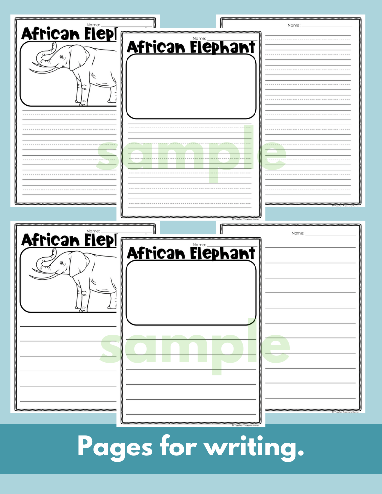 African Elephant Read Write Color activity for K, 1st, 2nd grade | Made ...