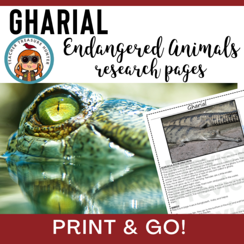 gharial | Endangered Animal research page for animal report | reptile ...