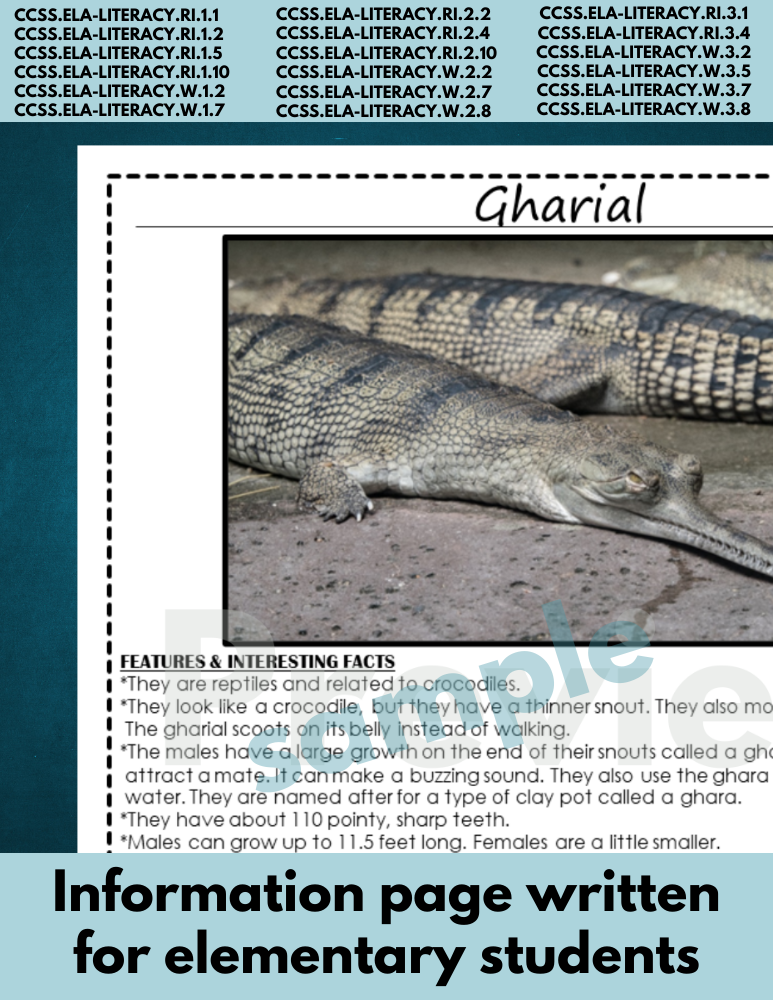 gharial | Endangered Animal research page for animal report | reptile ...