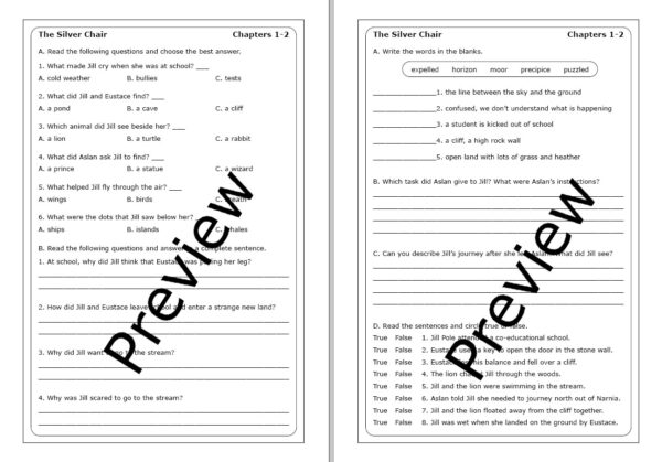 C. S. Lewis "The Silver Chair" worksheets | Made By Teachers