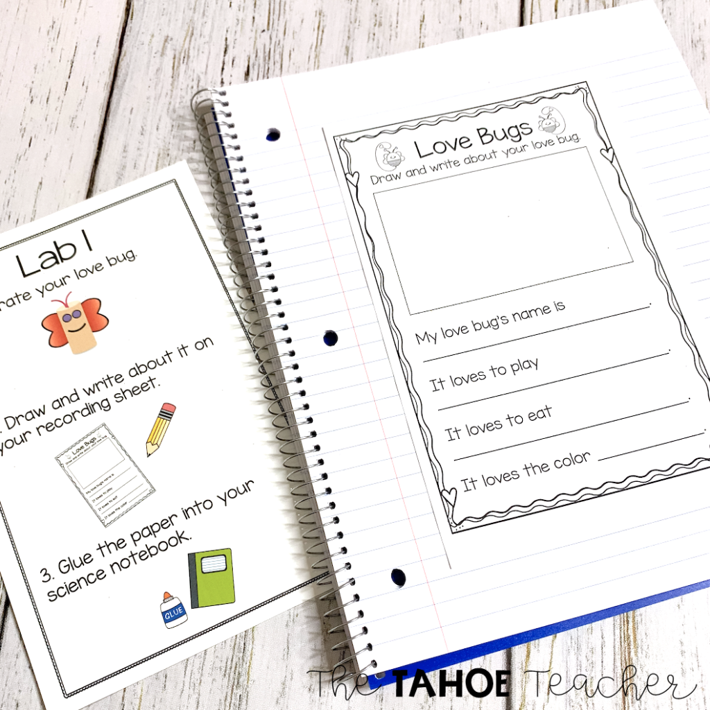 Valentines Science Unit | Science Centers for Primary Grades | Made By ...