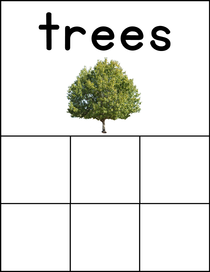 Non Identical Matching Activity for Non-Verbal Students with Real ...