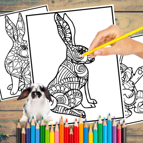 Rabbit Zentangle Coloring Book For Kids,Chinese New Year 2023 ...