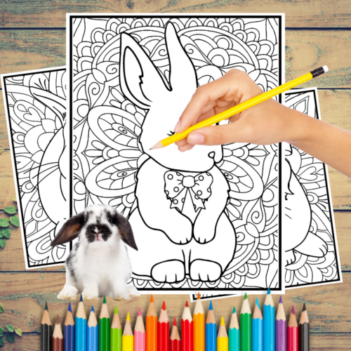 Rabbit Zentangle Coloring Book For Kids,Chinese New Year 2023 ...