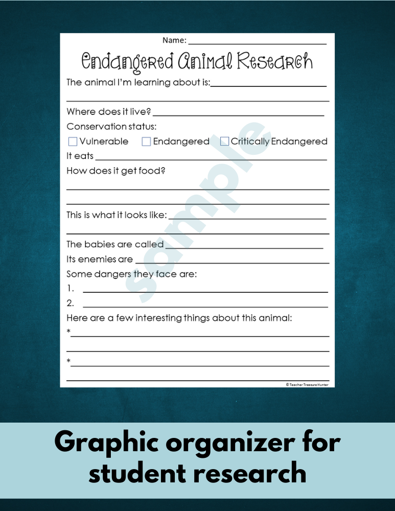 Golden Lion Tamarin | Endangered Animal research page for animal report ...