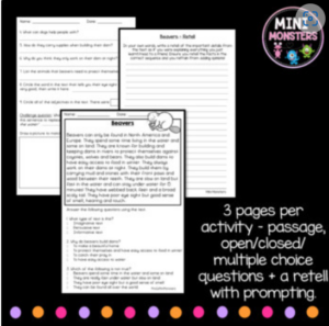 2nd Grade Reading Comprehension Passages and Questions, Set 2 ...