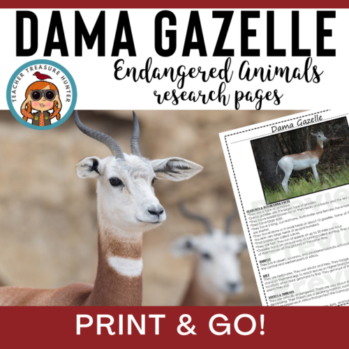 Dama Gazelle Endangered Animal information page for animal research ...